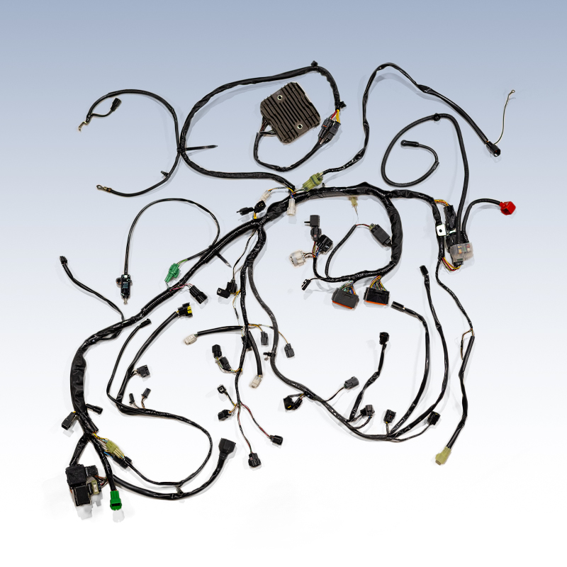 Products & Services - Intercon, Inc.